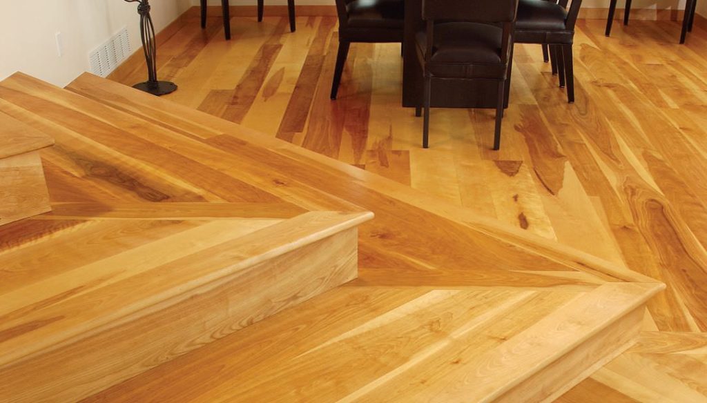 Madera de abedul ¡Todo lo que necesitas saber sobre los abedules